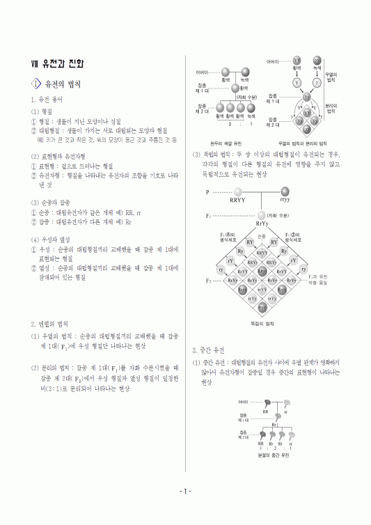 [과외]중학 과학 3-1학기 기말 06 유전과 진화