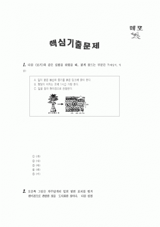 [과학]2.생물 식물의구조와 기능