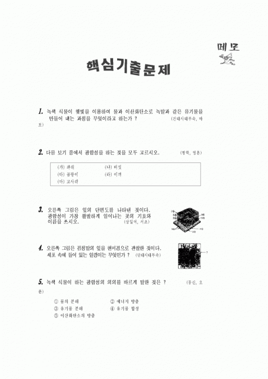 [과외]2.생물 광합성
