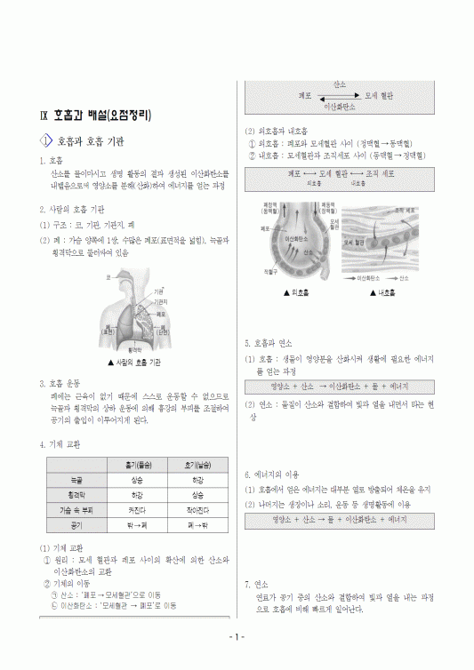 [과외]중학 과학 1-2학기 중간6 호흡과 배설(교사용)