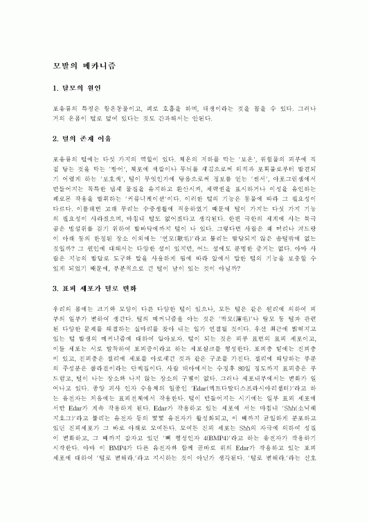 모발에 대하여