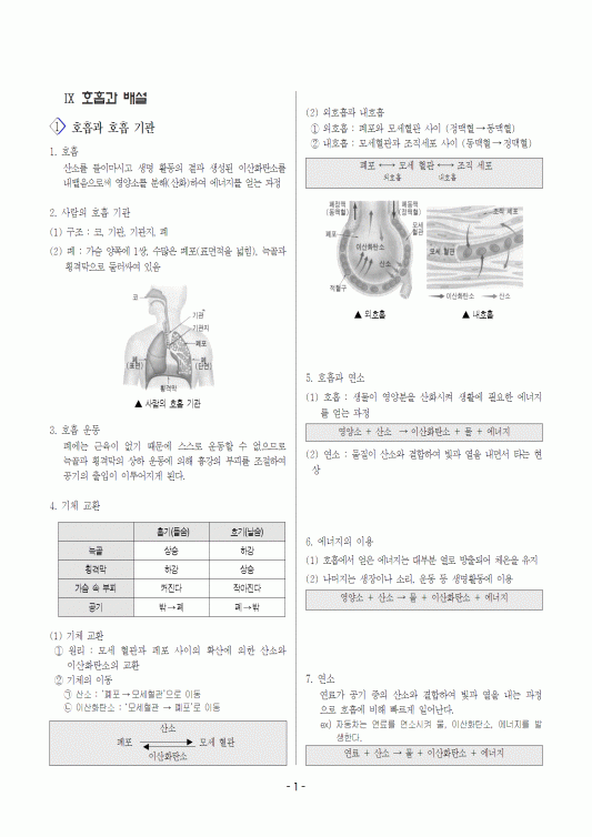 [과외]중학 과학 1-2학기 기말 04 호흡과 배설(교사용)