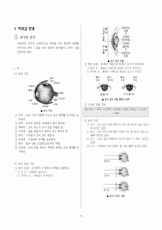 [과외]중학 과학 2-2학기 기말 05자극과 반응