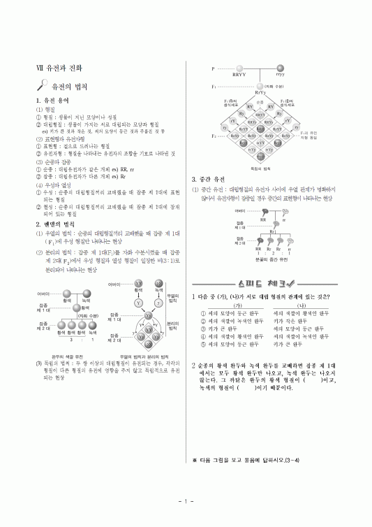 [과외]중학 과학 3-2학기 기말 01 유전과 진화
