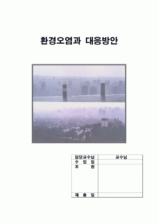 환경오염과 대응방안