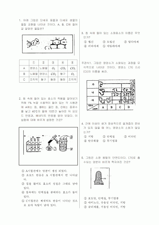 [과외]중학 과학 2-2학기 중간 예상문제 05