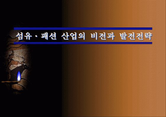 섬유 패션 산업의 비전과 발전전략