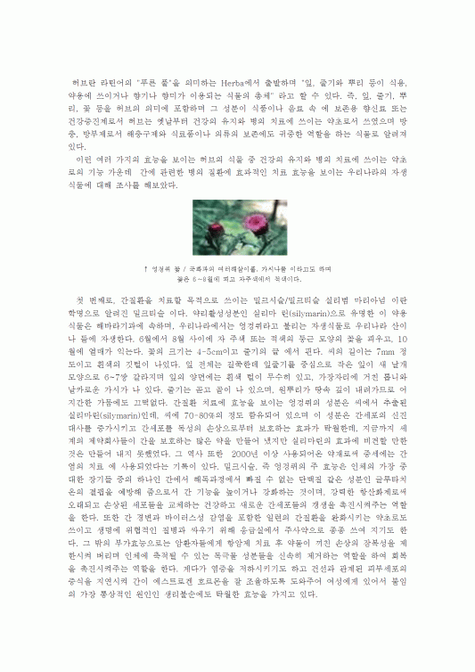 자생식물의 병에 관한효능