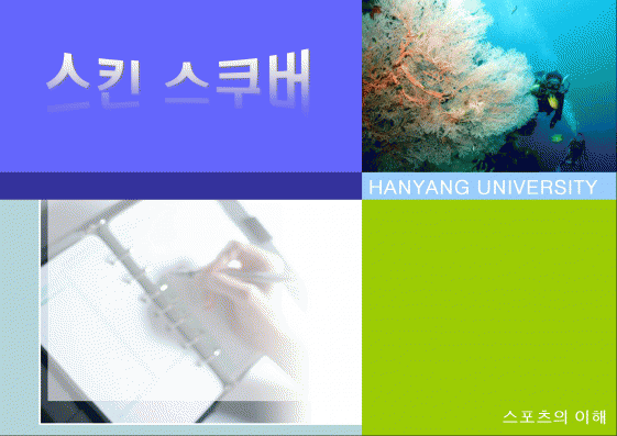 스킨스쿠버 레포트 자료