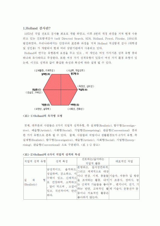 Holland 검사 레포트 자료