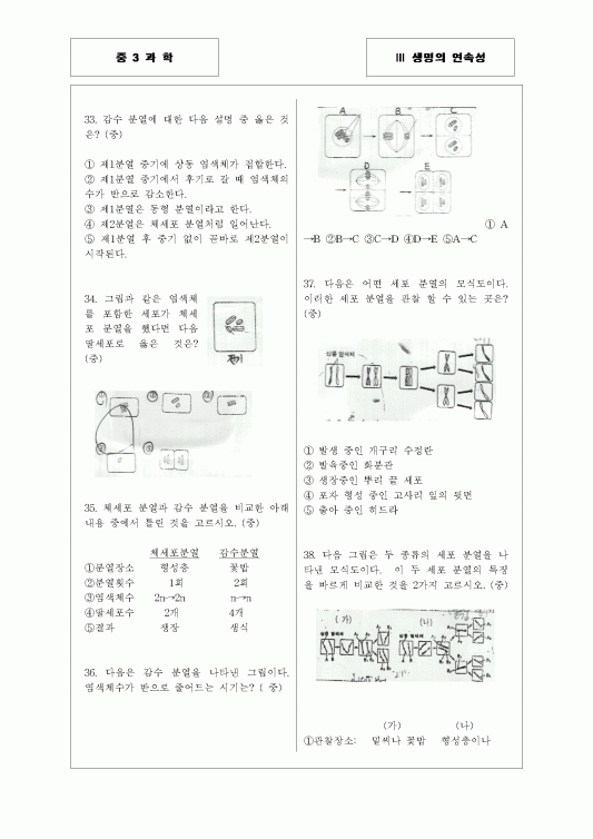 [과외]중학 과학 중3-6 세포분열 08