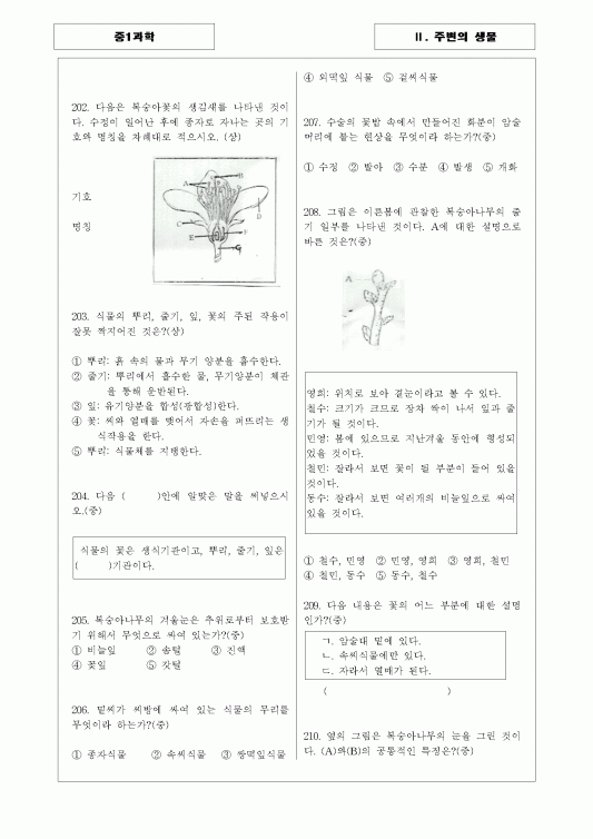 [과외]중학 과학 중1-04 땅에 사는 식물(1) 07