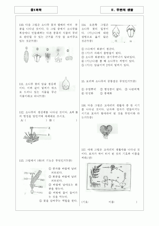 [과외]중학 과학 중1-05 땅에 사는 식물(2) 04