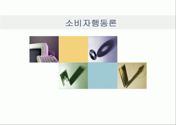 소비자행동 - 리바이스