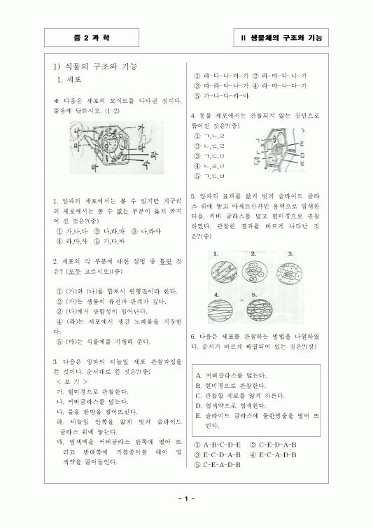 [과외]중학 가정 중2-03 식물의 구조와 기능 01