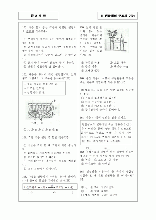 [과외]중학 과학 중2-03 식물의 구조와 기능 10