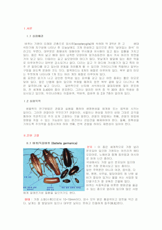 바퀴벌레 레포트 자료
