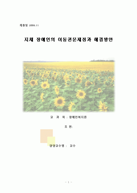 지체 장애인의 이동권 문제점과 해결방안