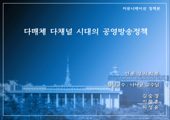 다매체 다채널 시대의 공영방송정책