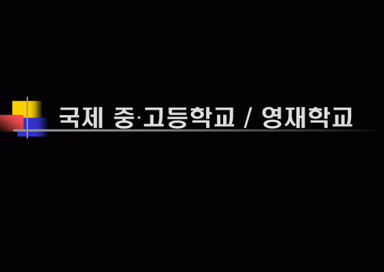 국제중.고등학교/영재학교
