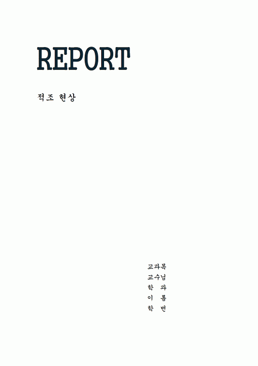 적조현상 레포트 자료