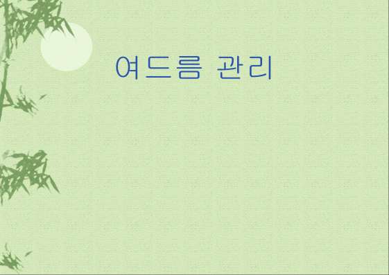 여드름 관리 레포트 자료