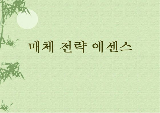 매체 전략 에센스