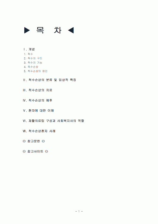 척수손상의 이해와 의료사회복지적 개입