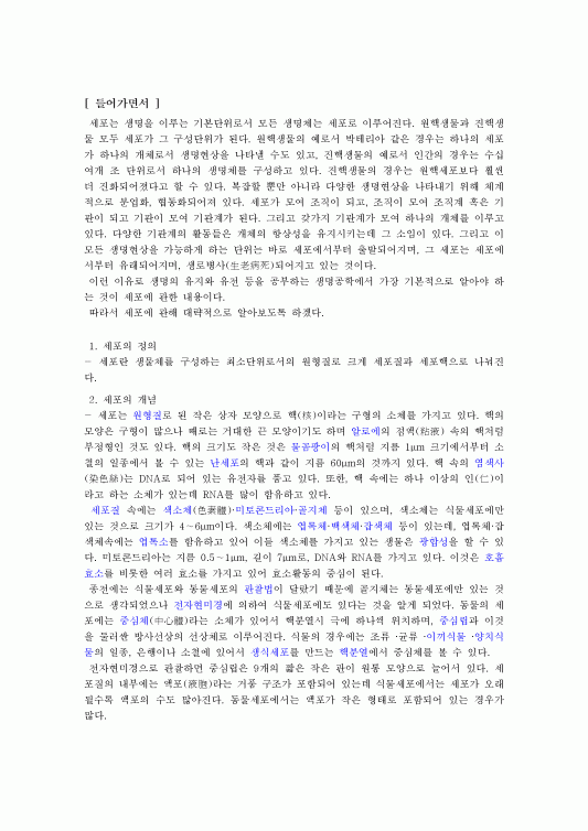 세포의 분류 및 특성