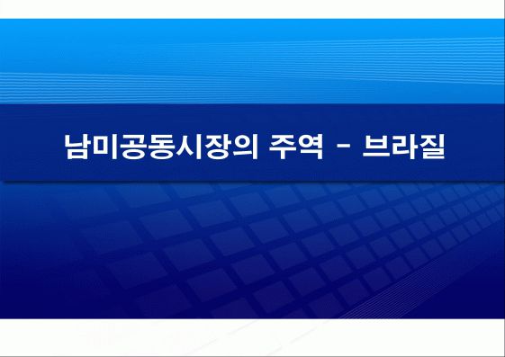 남미공동시장의 주역 - 브라질