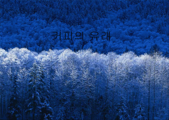 커피의 유래 레포트 자료