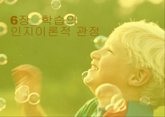 [교육심리] 학습의 인지이론적 관점 PPT자료