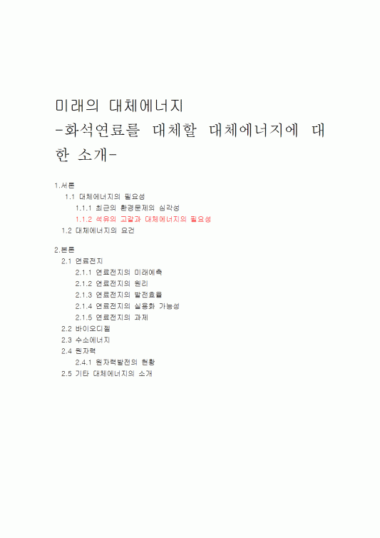 [인문과학] 미래의 대체에너지