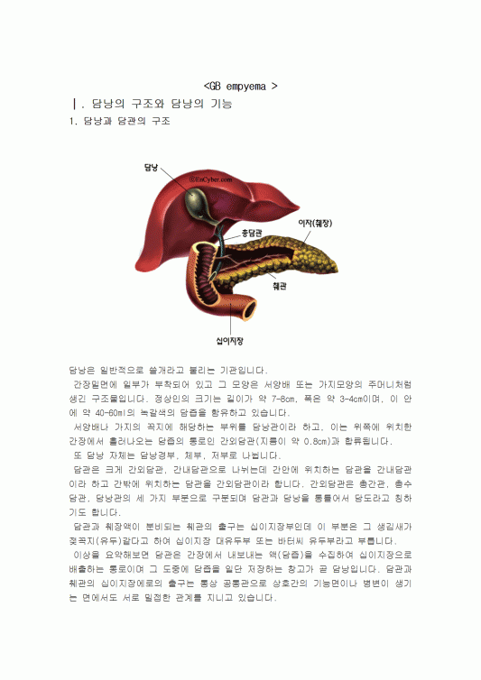 담낭 축농증 레포트 자료