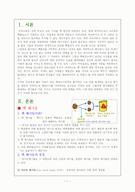 핵 폐기물의 문제점과 영향