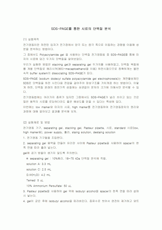 전기영동-SDS PAGE