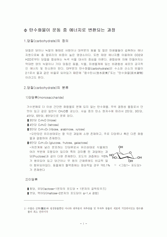 탄수화물 대사과정 및 운동중 탄수화물의 이용
