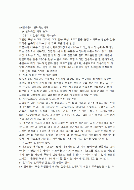 sk텔레콤 인력육성체계