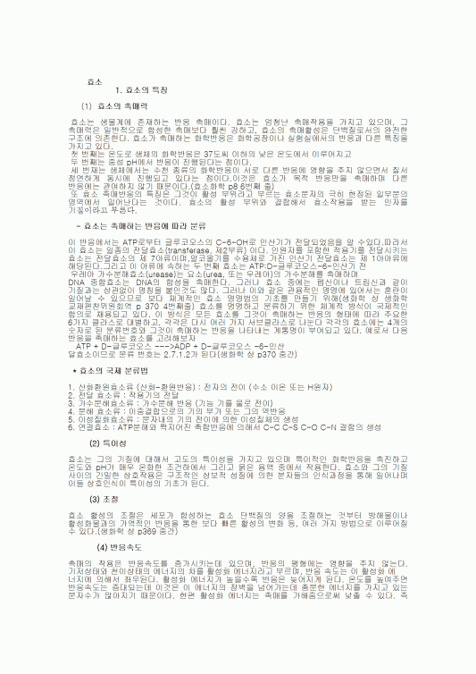 효소 [enzyme, 酵素 ]