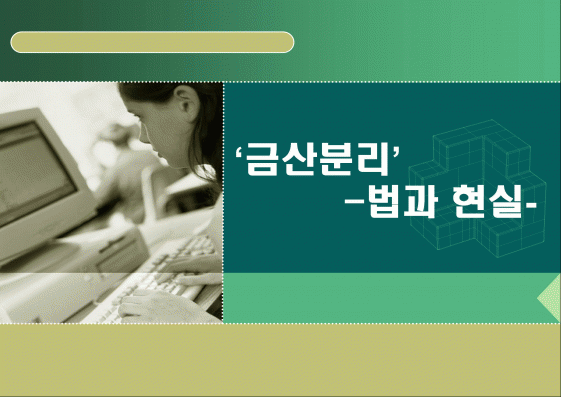 [사회과학] 금산분리