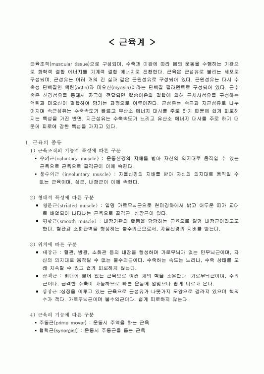 운동생리학 인체해부학 근육계