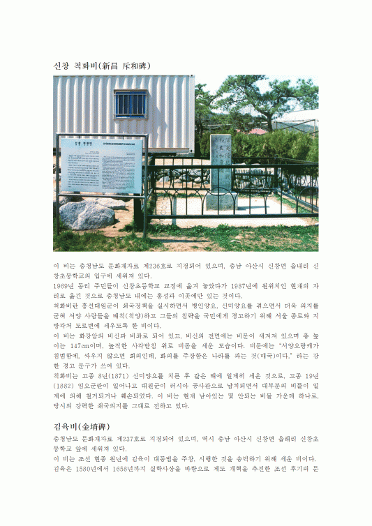 신창 척화비 레포트 자료