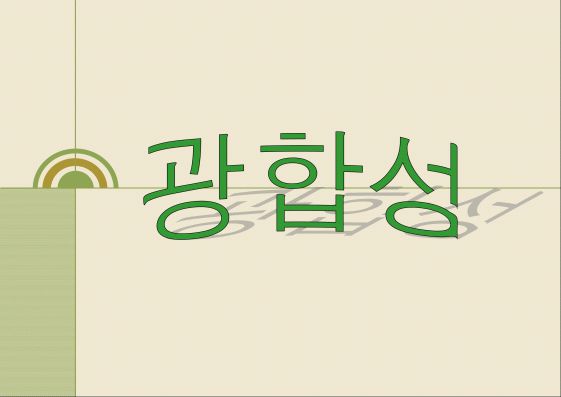 광합성의 과정 정리