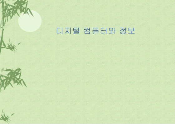 디지털 컴퓨터와 정보