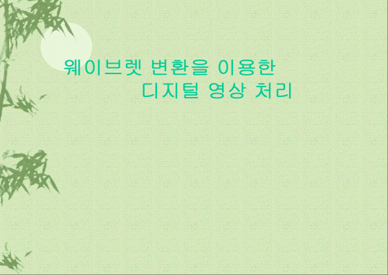 웨이브렛 변환을 이용한  디지털 영상 처리