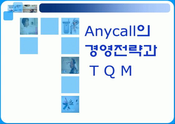 애니콜(Anycall)의 경영전략과 TQM