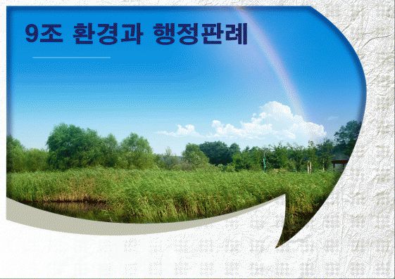 환경과 행정판례