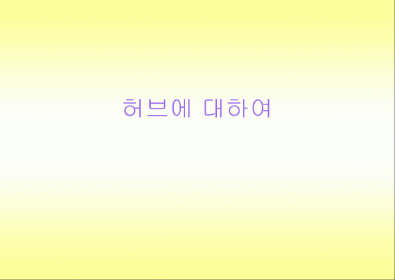 허브에 대하여