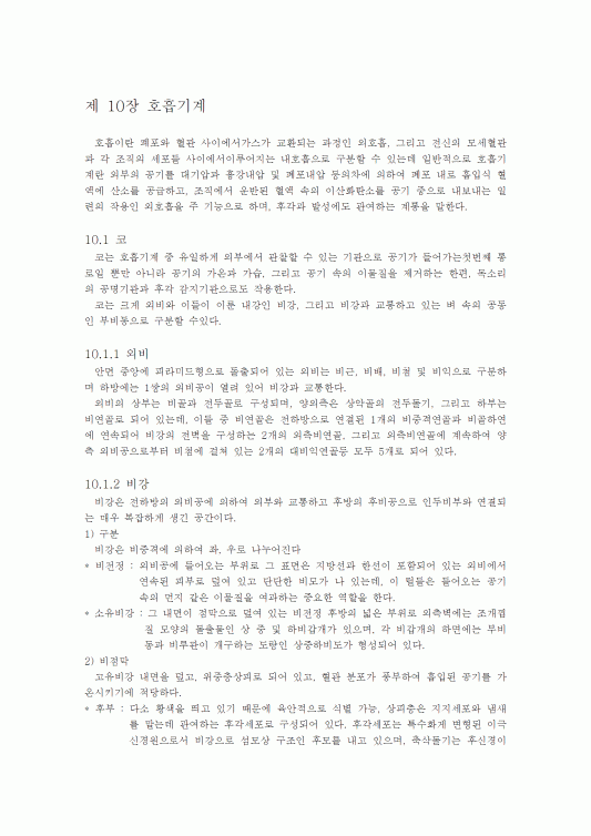 호흡기계 레포트 자료