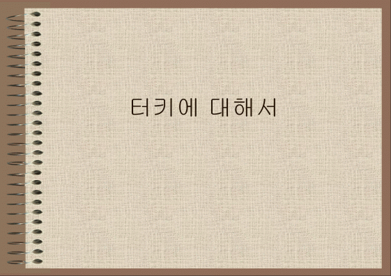 터키에 대해서